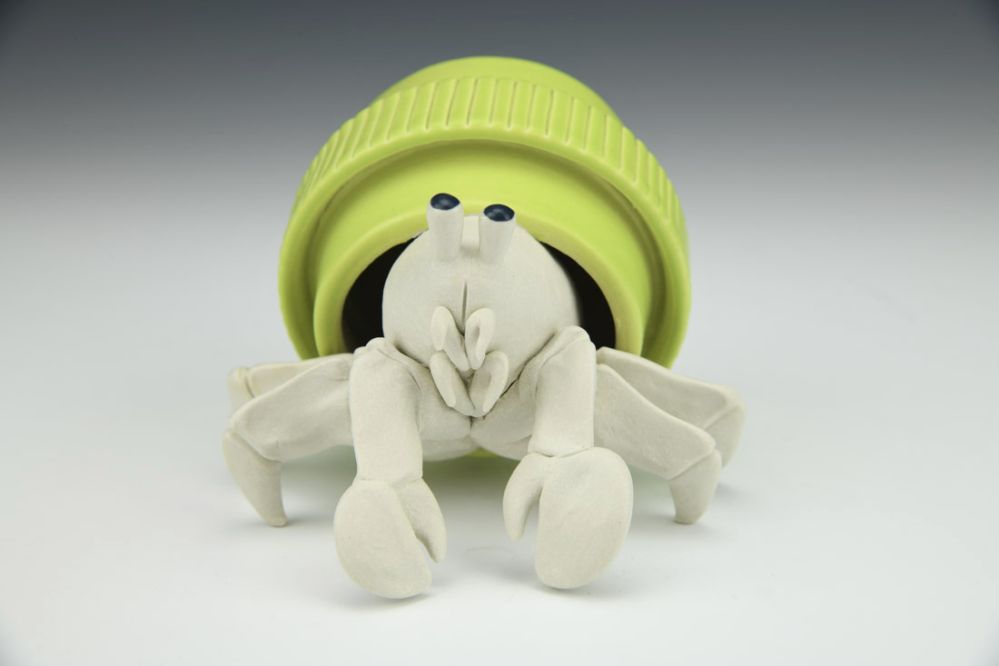 Hermit Crab Adaptation